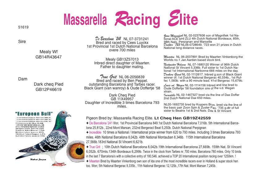 Ref 218 Light Cheq Hen 19-559 Jan Aarden – Massarella Racing Elite