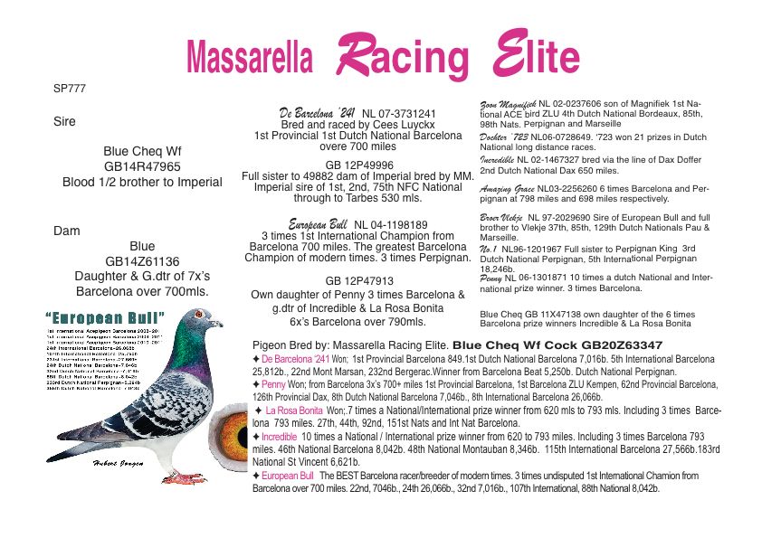 Ref 173 Cheq W/F Cock 22-347 Jan Aarden – Massarella Racing Elite