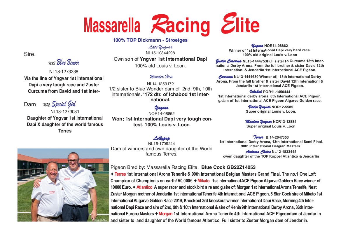 Ref 145 Blue Cock 22-053 Dickmann Stroetges – Massarella Racing Elite