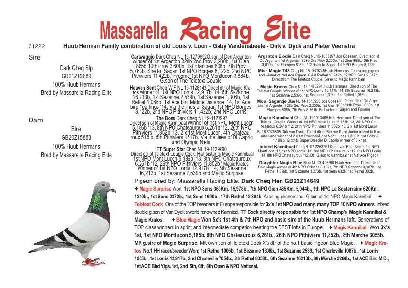 Ref 174 Dark Cheq Hen 22-649 Huub Hermans – Massarella Racing Elite