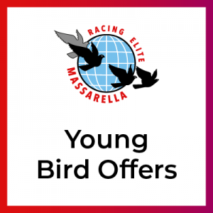 Products – Massarella Racing Elite